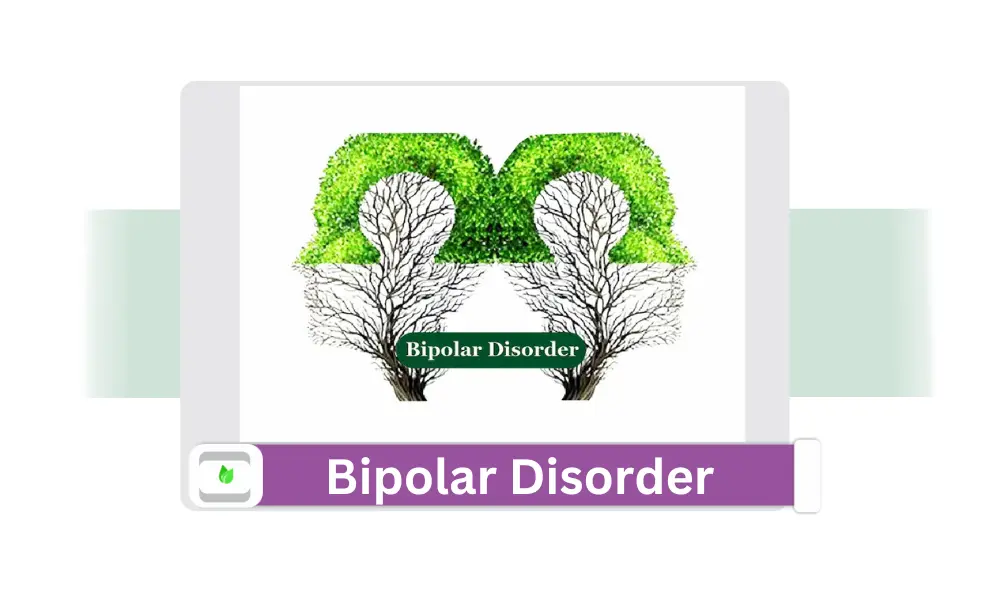 Bipolar disorder - Symptoms Causes & Treatment - GreenicLife Bipolar disorder - Symptoms Causes & Treatment - GreenicLife